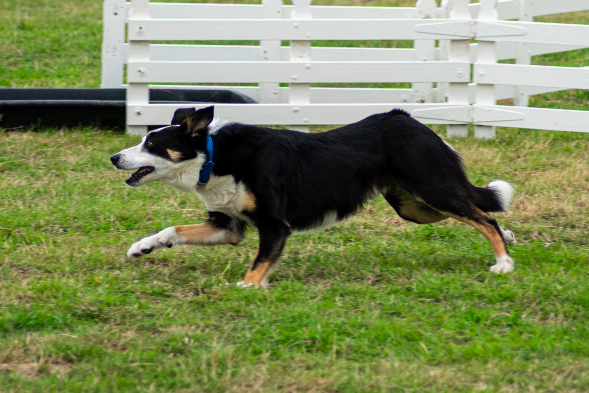 Information - The West Show